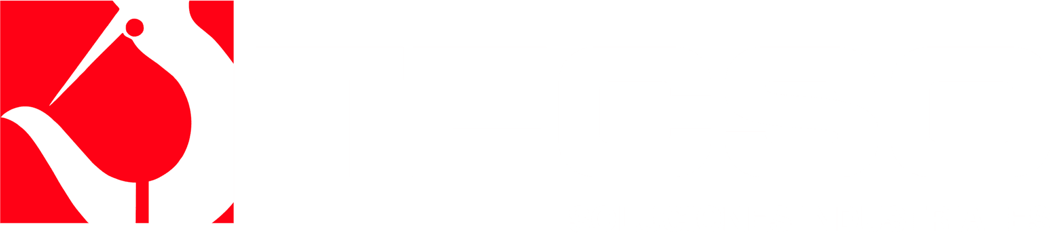 TECSO | SOLUCIONES INTEGRALES – Diseñamos grúas a la medida ...